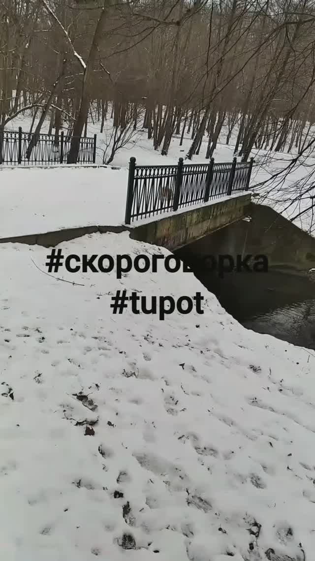 #польский_язык 📚✍️❤️ #Скороговорка_с_переводом_и_произношением🐕_#шорт