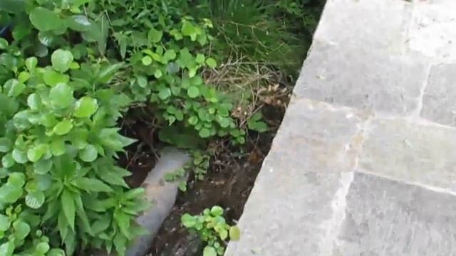 Афон первый день. Пантелеимонов монастыр. πρώτη μέρα στο άγιον όρος