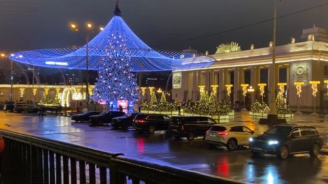 Новогодняя Москва. Парк им Горького январь 2025г