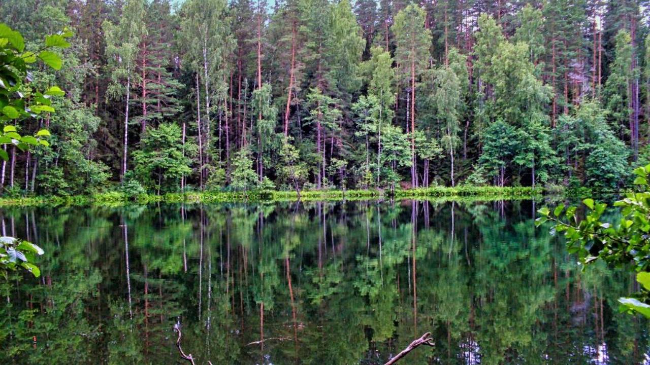 Газ закончился и рыба сбежала