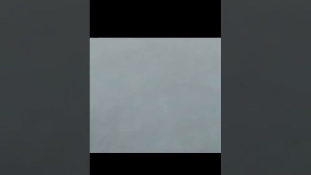 Спасение лосей