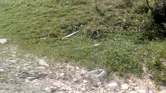 Псемён, дорога в школу