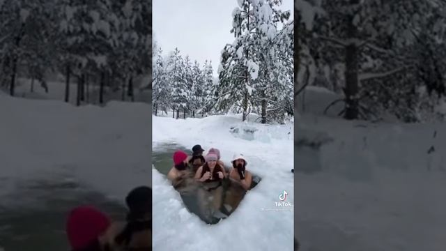 "В Норильске замёрзли все птицы..."