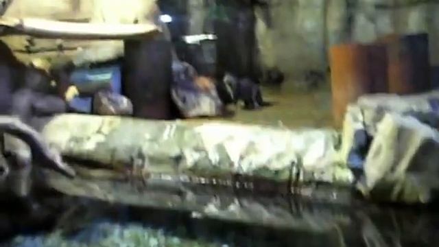 Поездка в Дубай Молл ОАЭ