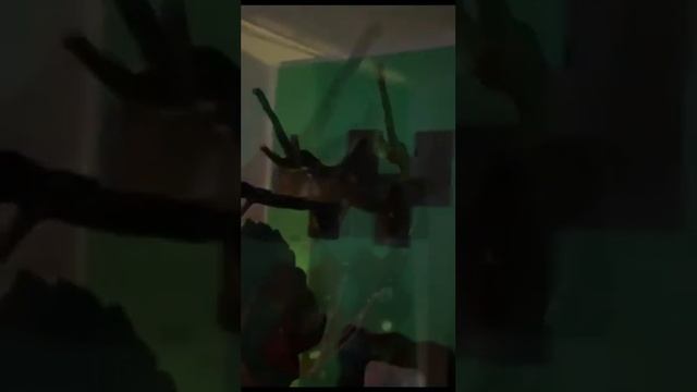 Оборудование "Двигающиеся ветки" для квеста "Уэнсдей"