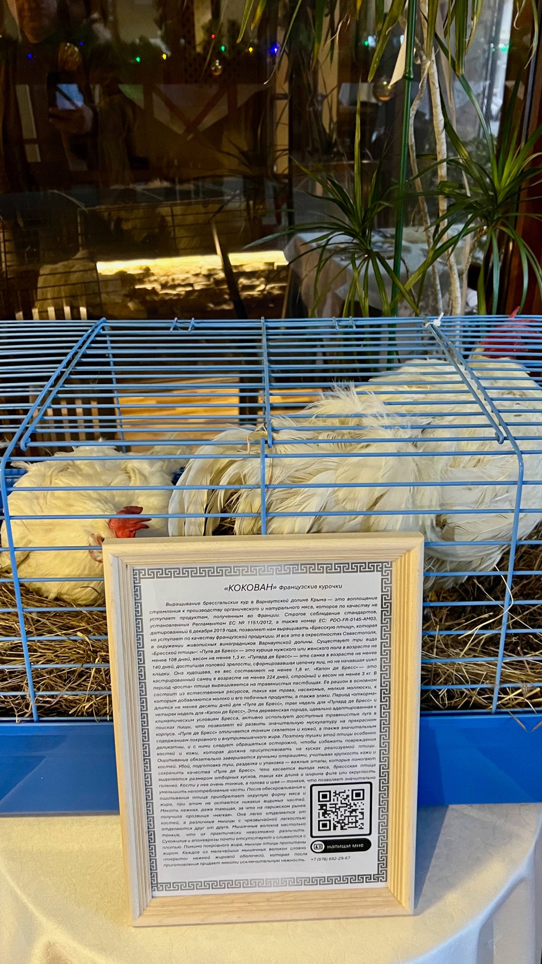 Ресторан Легенда Крым возле урочища Ласпи  званый ужин декабрь 2024 год