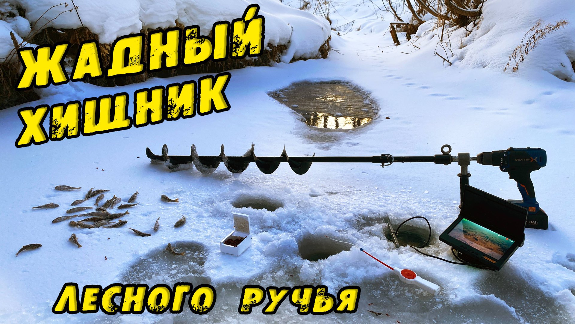 СТАЯ голодных рыб ТЕРЗАЕТ Мотыля! Жадный ГОЛЬЯН - Недооценённый ХИЩНИК Лесного РУЧЬЯ Зимняя Рыбалка