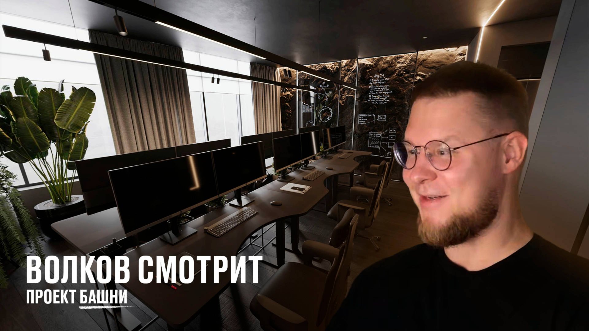 Волков смотрит проект Башни