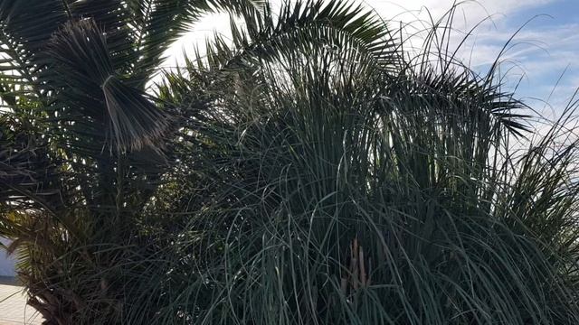 Олимпийский парк в Имеретинке.