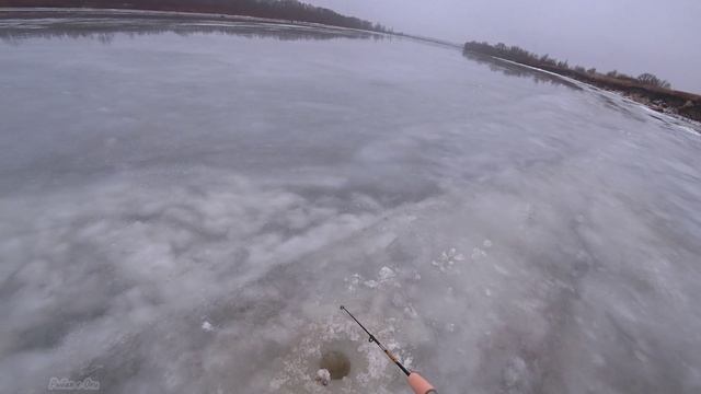 Опять Дуплеты из Этой ЛУНКИ! Зимняя Рыбалка на Донки на Оке 2025.