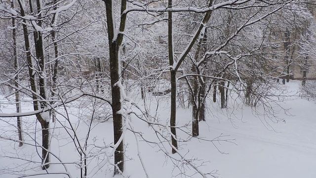 2025 начало января, вид из окна.