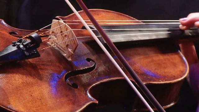 Концерт камерного оркестра  Оренбургской областной филармонии