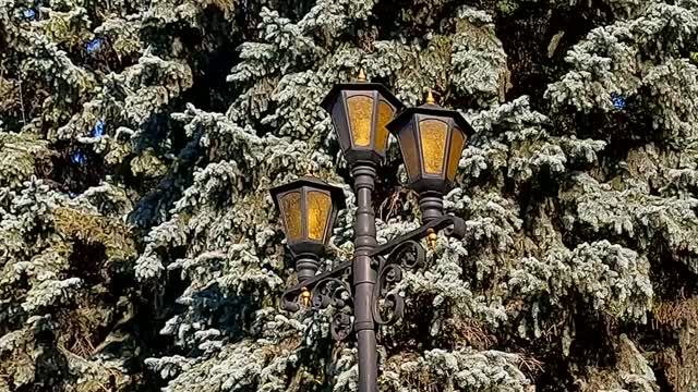 Новосибирск. Прогулки по Богдашке