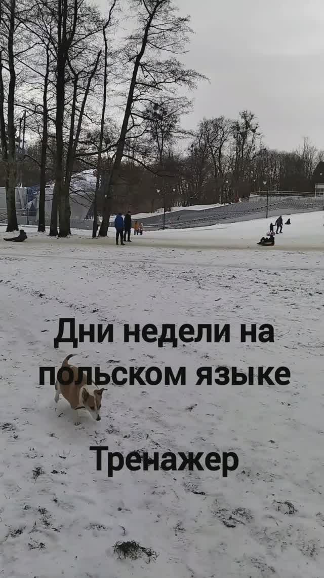 #польский_язык 📚✍️❤️ #Дни_недели_с_переводом_и_произношением🐕_#шорт