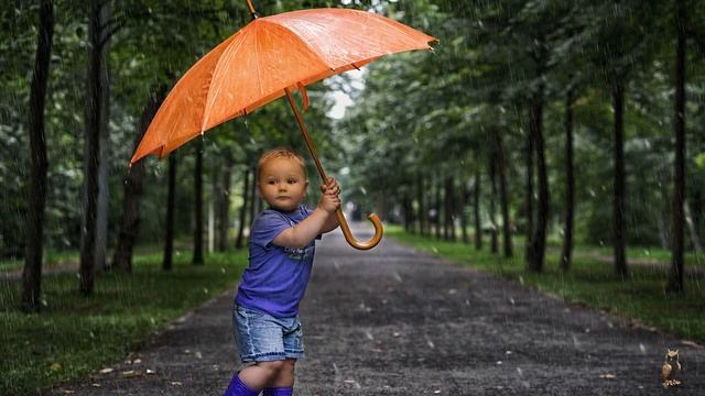 Я думал, если вы помолитесь, то дождь пойдет