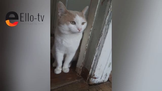 Снупы Что было в Июнь 2022