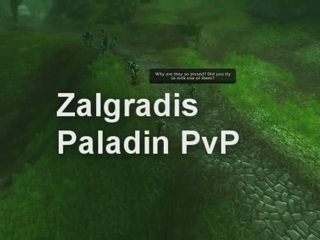Zalgradis 2 - Paladin PvP