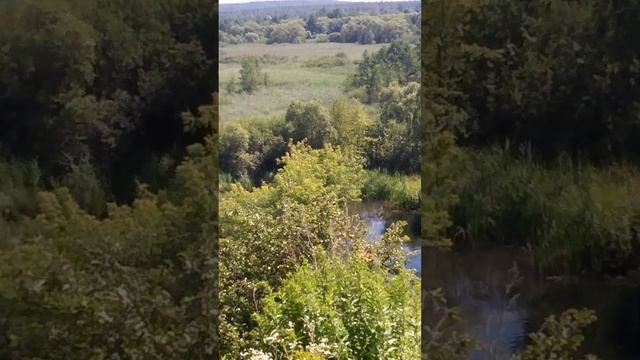 Железногорск, на водосливе, 13 июля