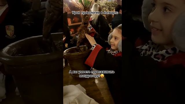 мандрагора из фильма Гарри Поттер