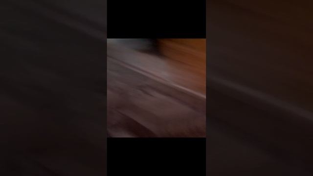 милый котик 8 серия 1 сезона