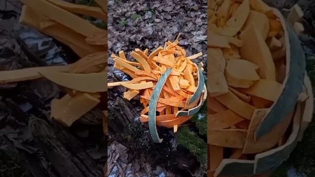 Кормушка для зайцев