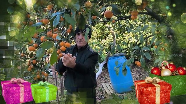 Мандариновый Новый год
