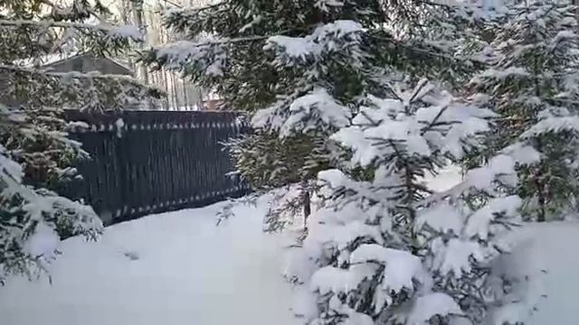 Ах, ночь! Святая ночь!