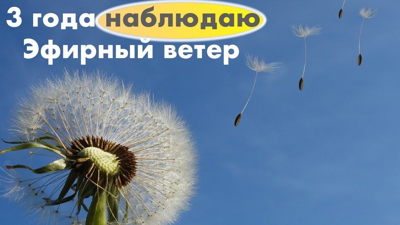 Теория относительности: 3 года наблюдаю эфирный ветер