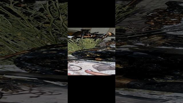 Избавление от пищевой зависимости и других.
ритуал