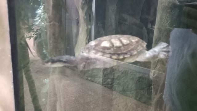 Тула, октябрь 2024. день второй. Музей пряника. Экзотариум. Центральный парк.