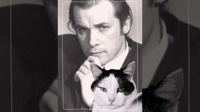 Cat-portrait - Glenn Gould