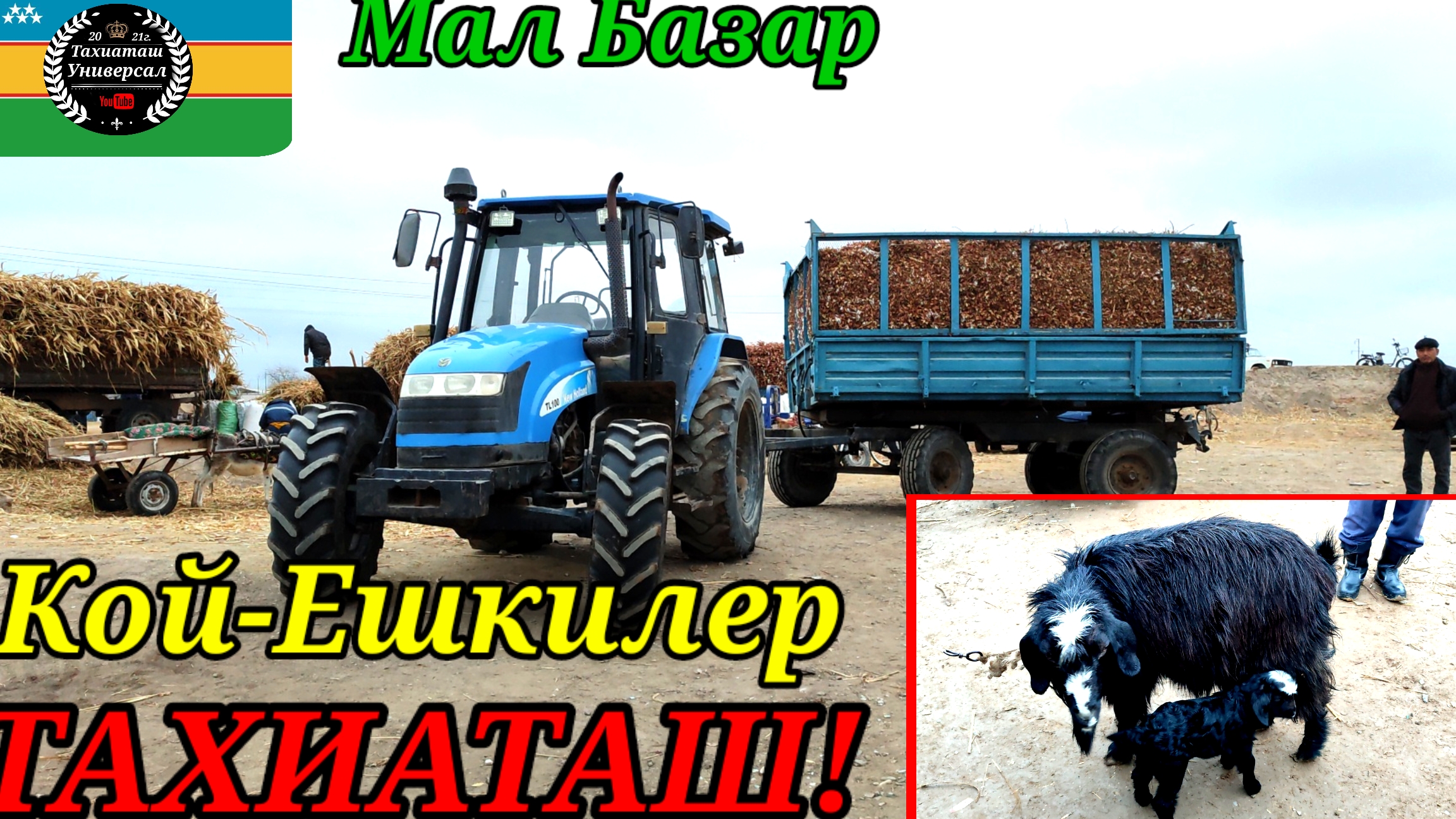 19-01-2025 Скотный рынок.