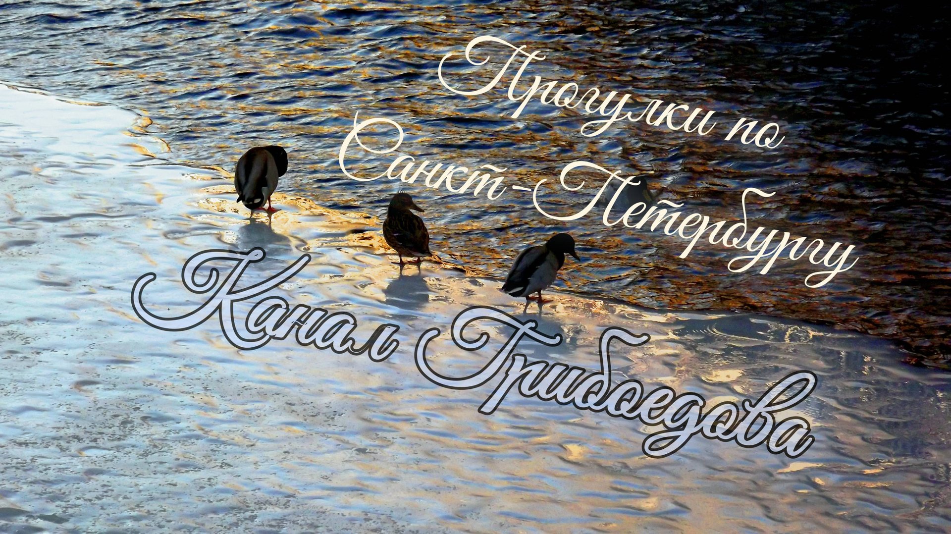 канал Грибоедова