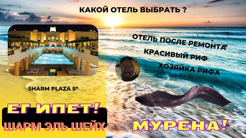 Египет 2024. Шарм Эль Шейх. Обзор отеля Sharm Plaza 5*. (Sarm Resort 4*) после ремонта. Ноябрь 2024