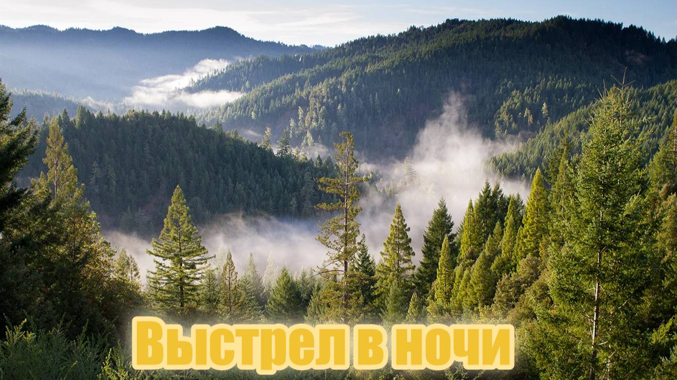 Выстрел в ночи