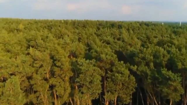 В честь дня рождения @telecube2007 Часть 2: Эволюция Интро Выпуск 1: Альмар/Телевизионщик/TeleCube