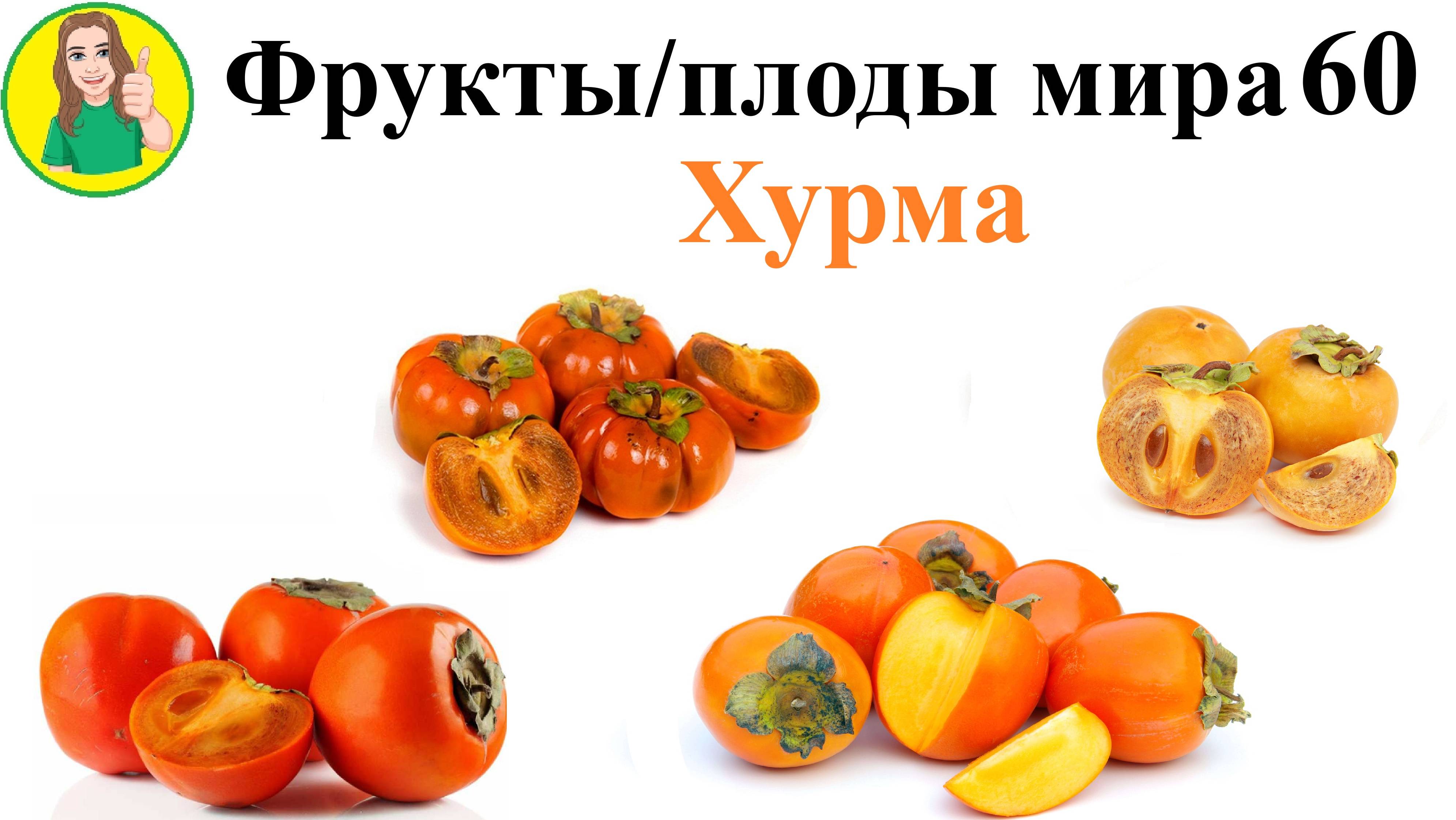 Фрукты - плоды мира 60 – Хурма Сыроедение Фрукторианство