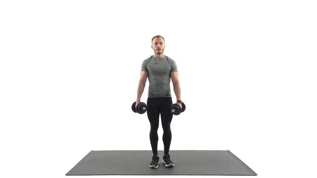 #9 Выпады назад с гантелями. Упражнение для ягодичных мышц.