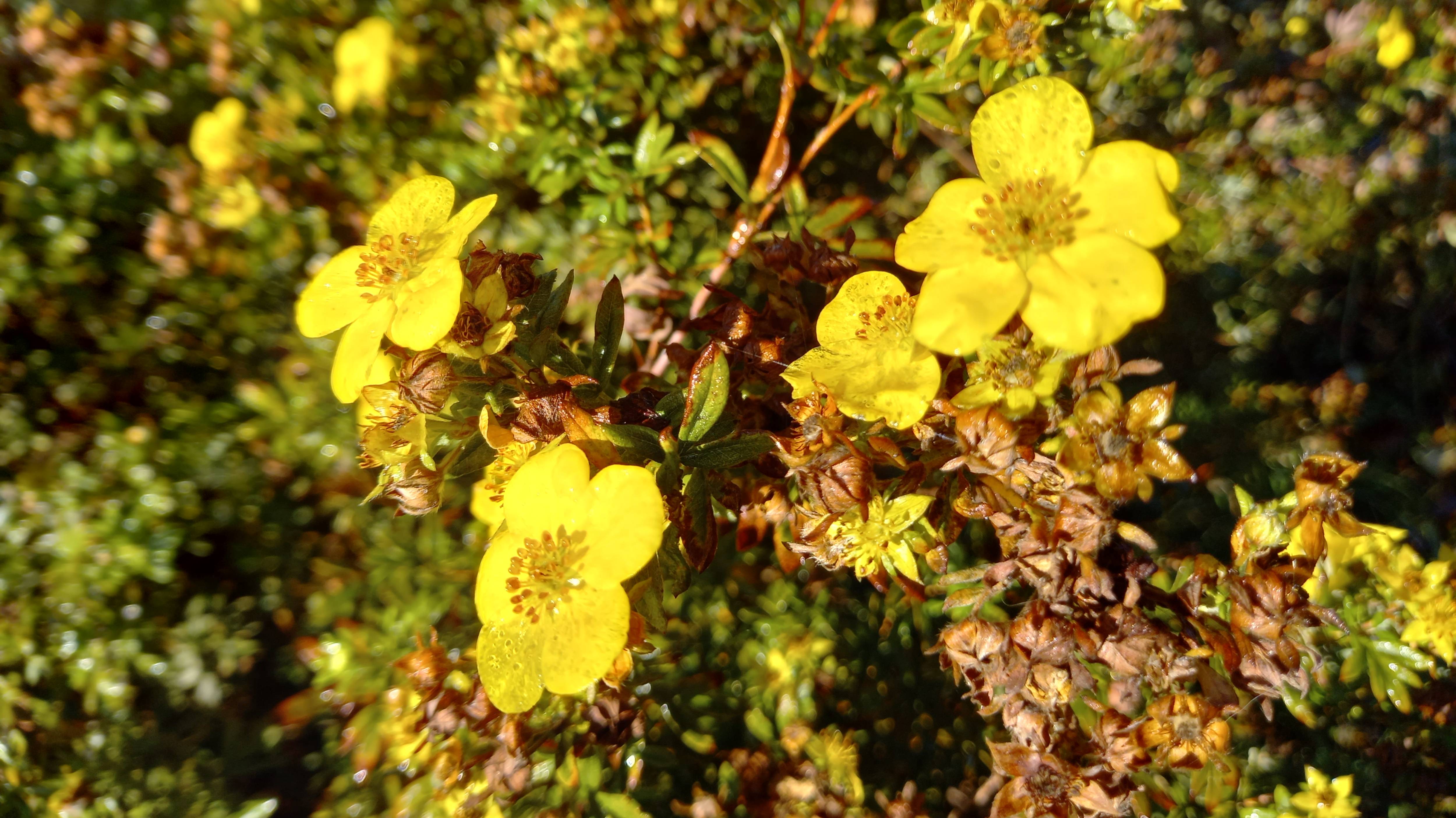 Russia. Анапа Сентябрь 2013