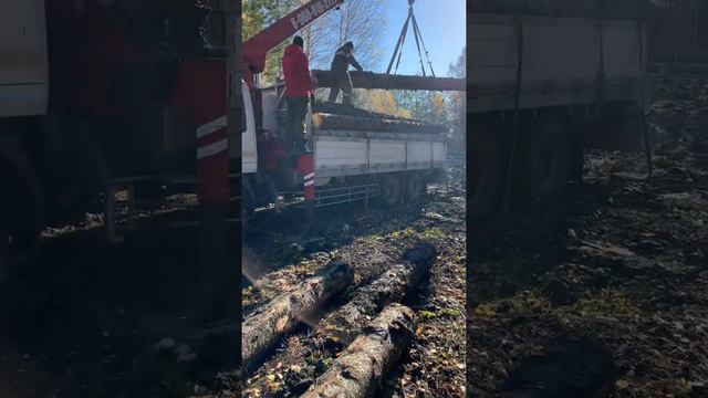 5 декабря 2021 г.