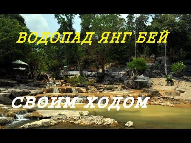 Поездка своим ходом (на байке) в парк Янг Бей. апрель 2018