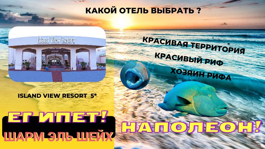 Египет 2024. Шарм Эль шейх обзор отеля Island View Resort. Ноябрь 2024