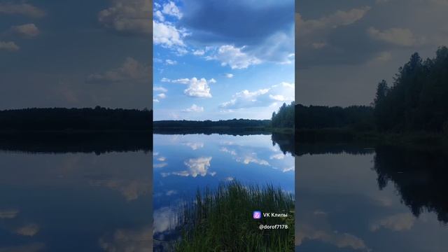 Дорогами Орловского полесья на велосипеде / Окрестности озера "Старое" #велопоход #природа #велотрип