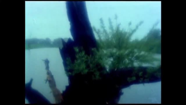 Валентина Вишневская - "Ту и мэ" ("Ты и я")