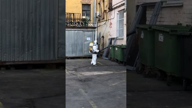 Дезинсекция территории: обработка от насекомых в Москве и области