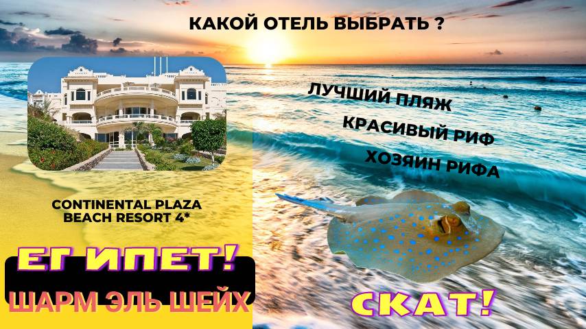 Египет 2024. Шарм Эль Шейх. Обзор отеля Continental Plaza Beach Resort 4*.