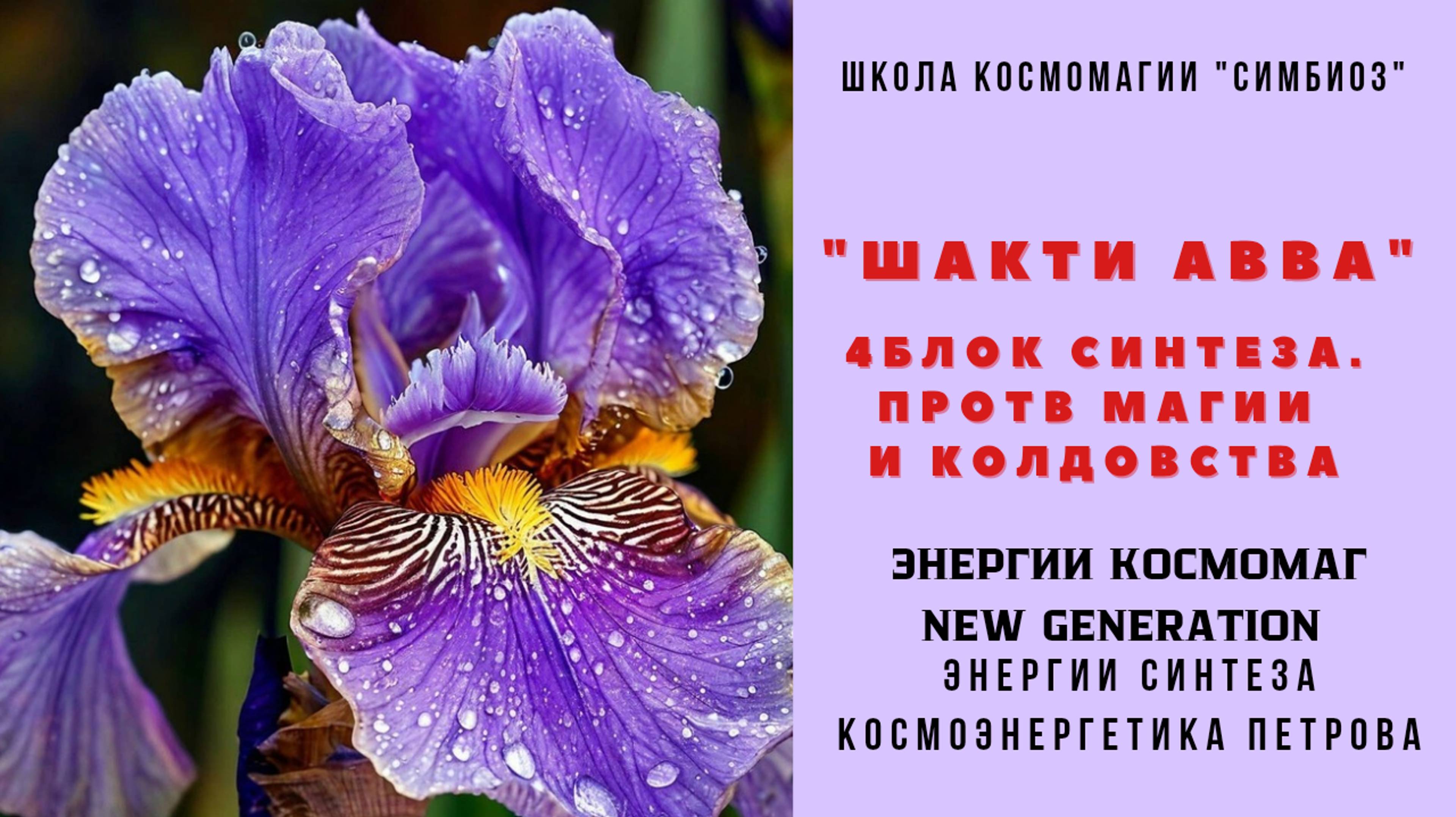 КОСМОЭНЕРГЕТИКА. 4 БЛОК СИНТЕЗА. ШАКТИ АВВА - ПРОТИВ МАГИИ.
