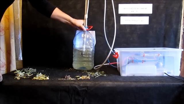 Лечебный состав из трав