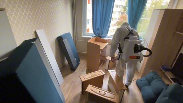 Дезинфекция от клопов в квартире: уничтожение насекомых в Москве