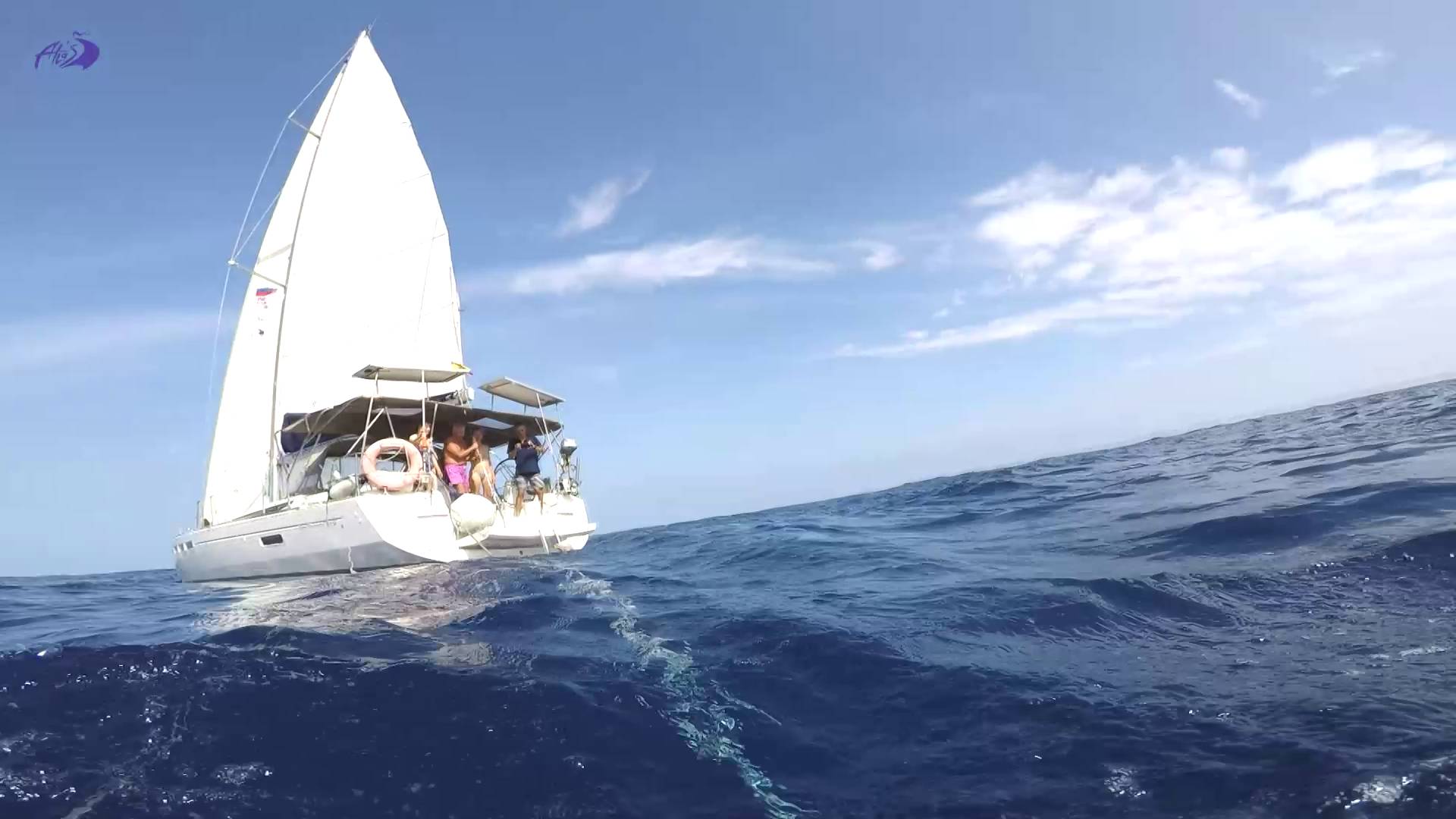 Купание в открытом океане с яхты